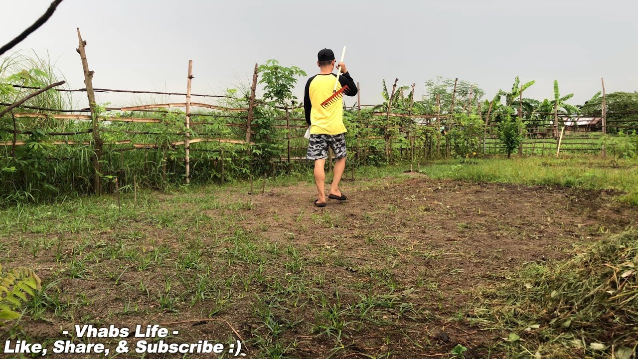 Mini Farm Life (Wow!! May Bunga na Mulberry) - YouTube