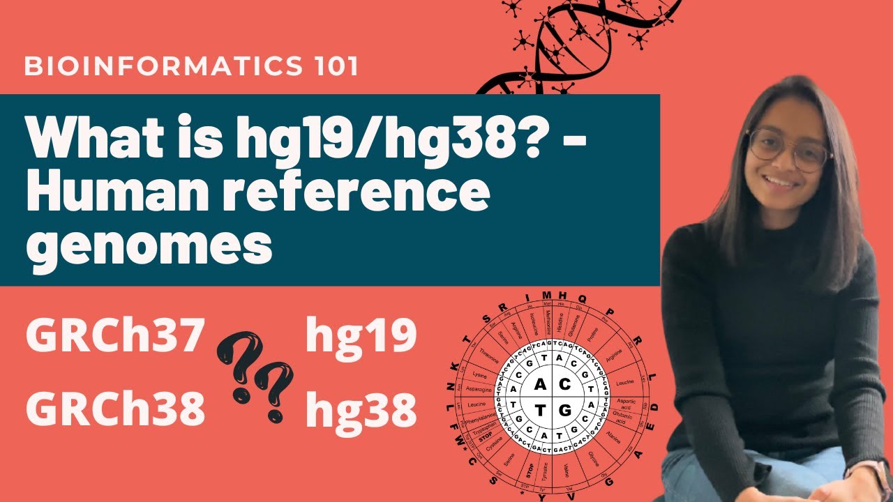What is hg19/hg38? - All you need to know about human reference genomes ...