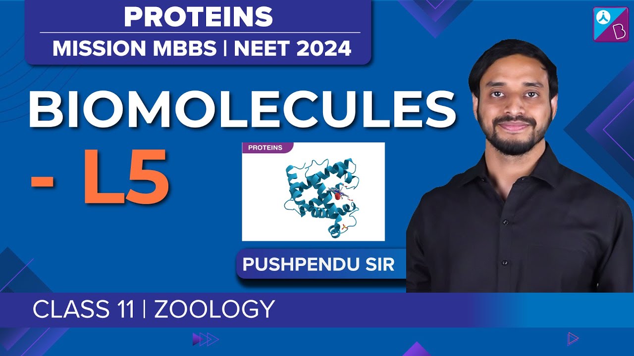 Proteins Class 11 Biology - Biomolecules Concepts (L5) | NEET 2024 ...