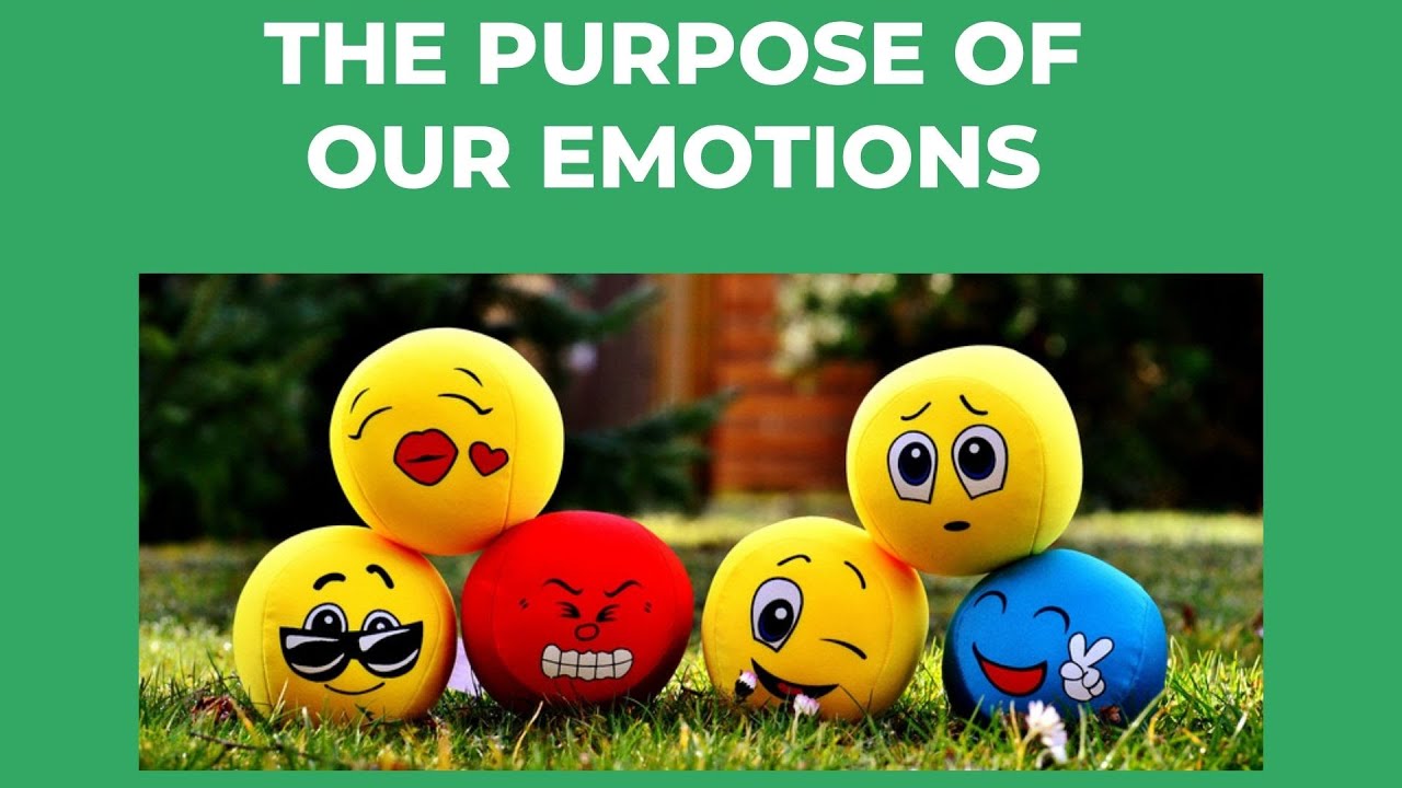 HOW TO REGULATE OUR EMOTIONS AND PURPOSE OF OUR EMOTIONS - YouTube