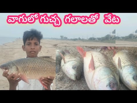 Guccha gal fishing video/ big size Rahu fishing/ Abdullah Fishing ...