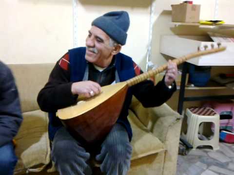 halo dayı
