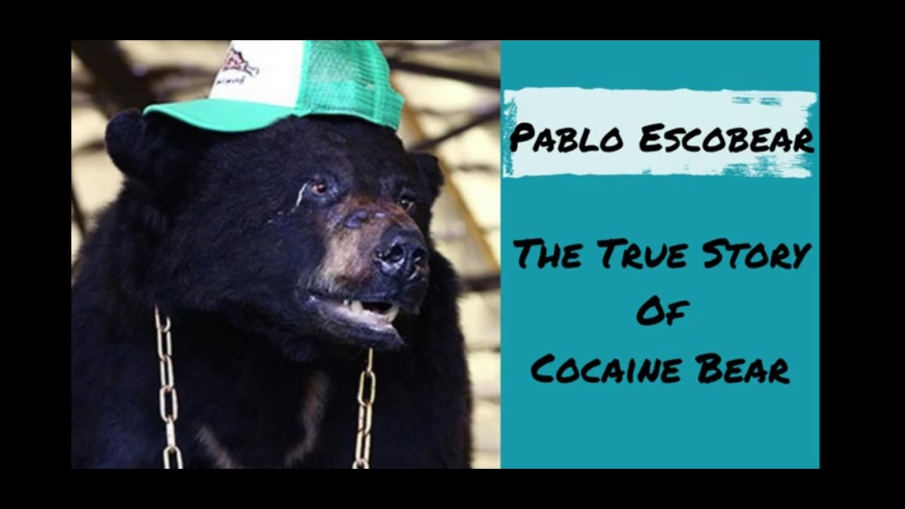 Cocaine Bear Pablo Escobear: A True Story of Addiction True Crime ...