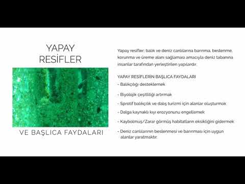 YAPAY RESİFLER