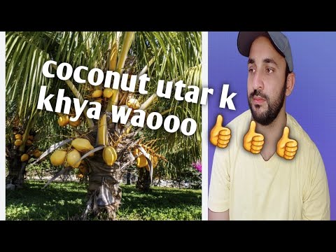 coconut utar k khya waooo 👍👍👍#funny #viral #india #pakistan #video ...
