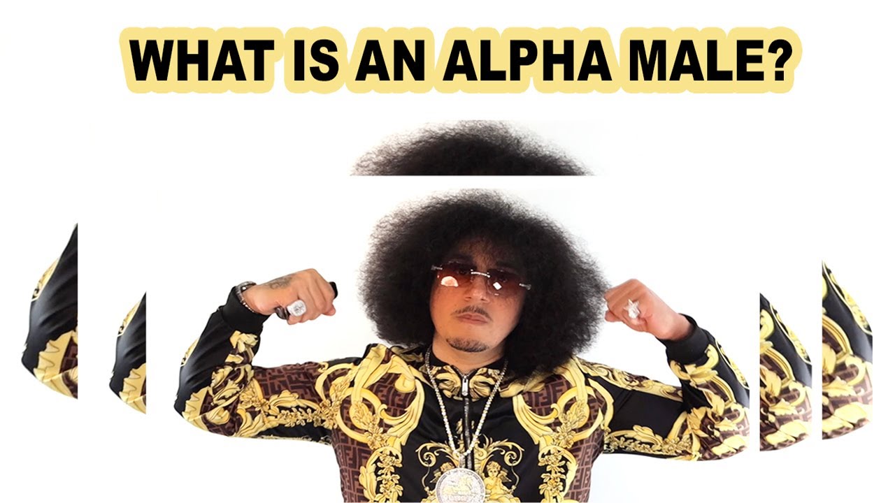 What is an alpha man? The alpha male explained. Shi fu describes an ...