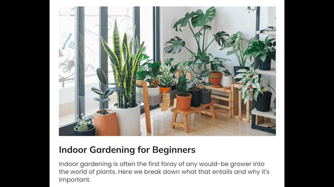 Indoor Gardening for Beginners - YouTube