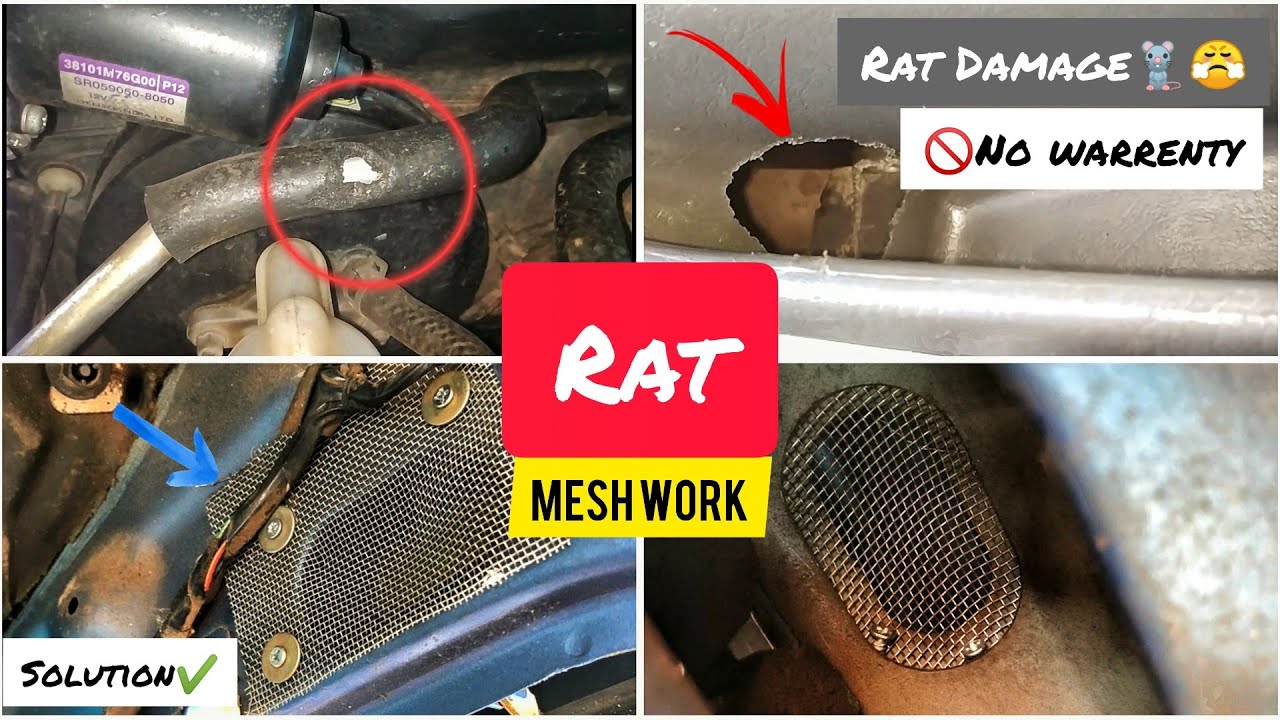 Rat🚫 Permanent Solution ️ ️ | Mesh Work in Alto ️NO RAT ENTRY - YouTube