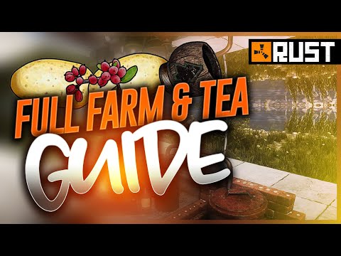 Farming Guide | Tea, Berrys, Components, Quality, Stages & More | Rust ...