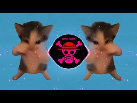 DJ KICAU KICAU KICAU MANIA SLOW VIRAL TIKTOK FULL SONG MAMAN FVNDY 2026 