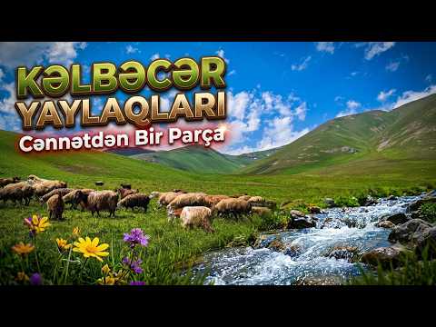 KƏLBƏCƏR YAYLAQLARI: Cənnətdən bir parça
