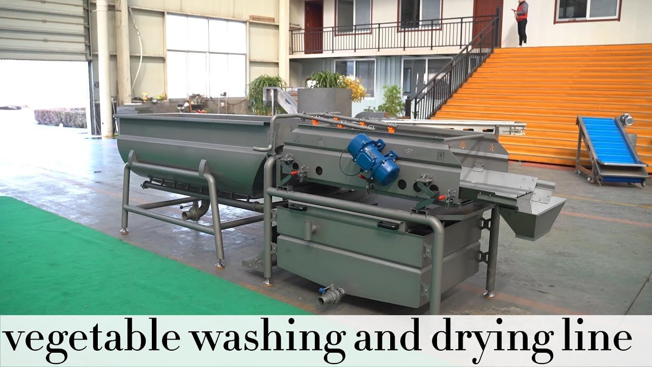 leafy vegetable processing machine | vegetable processing |vegetable ...