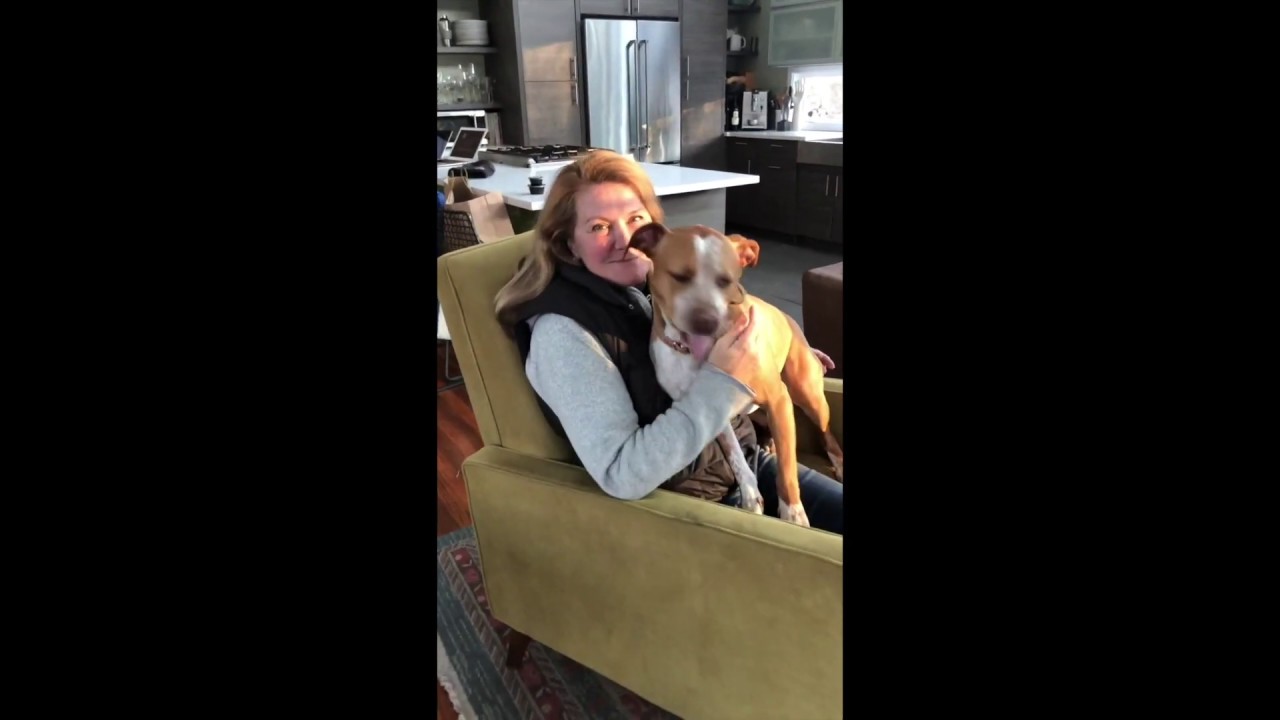 Why Sabrina Haake is Running for Congress - YouTube