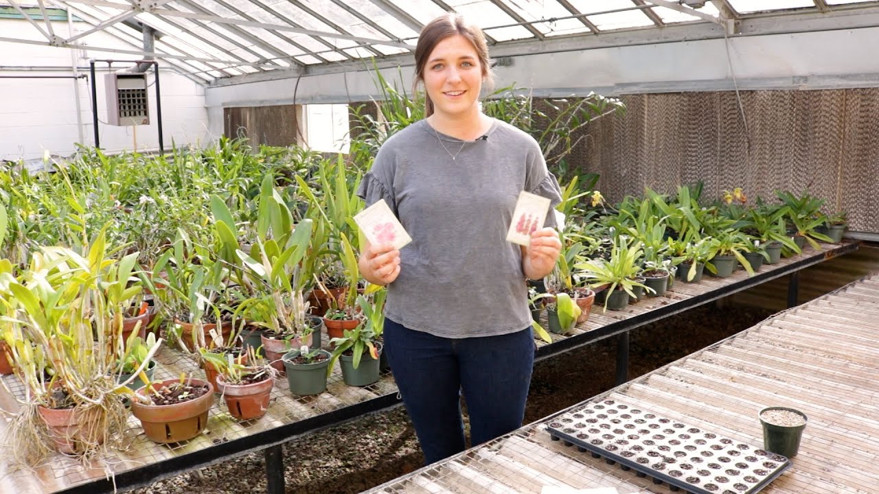 GROW | Seed Sowing with Molly Hendry - YouTube