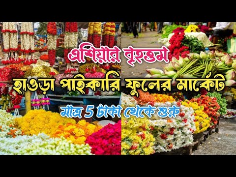 Jagannath Ghat & Mallick Ghat Flower Market Howrah | Asia Biggest ...