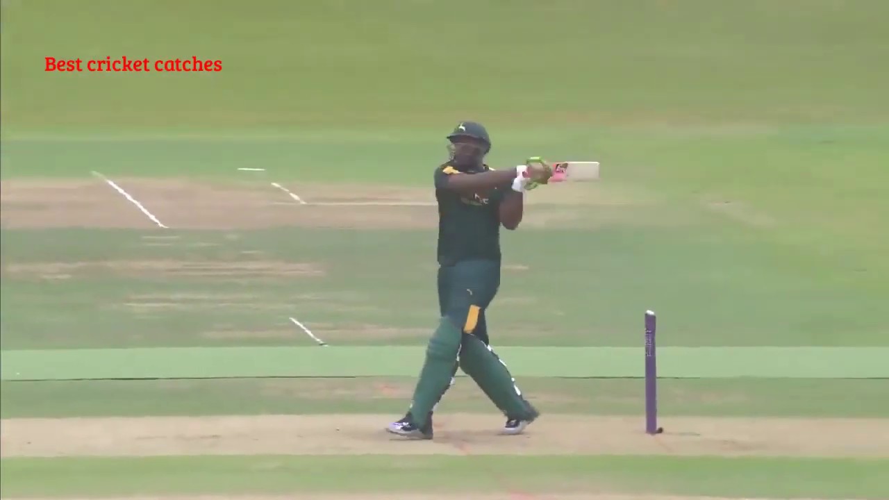 Best Cricket Catches 2019 new - YouTube