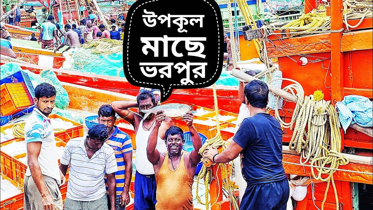 Namkhana fishing harbor | Namkhana-kakdwip fish market | Namkhana ...