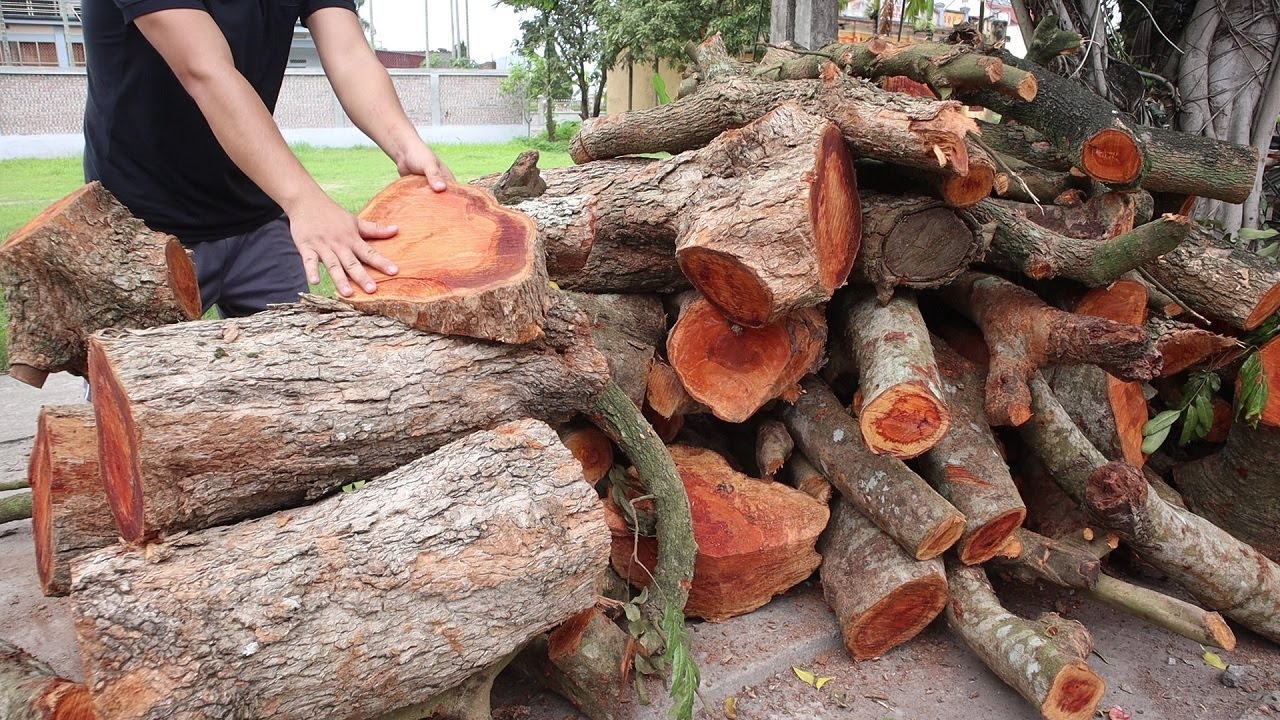 Extreme Breakthrough Natural Woodworking Projects And Skills | Amazing ...