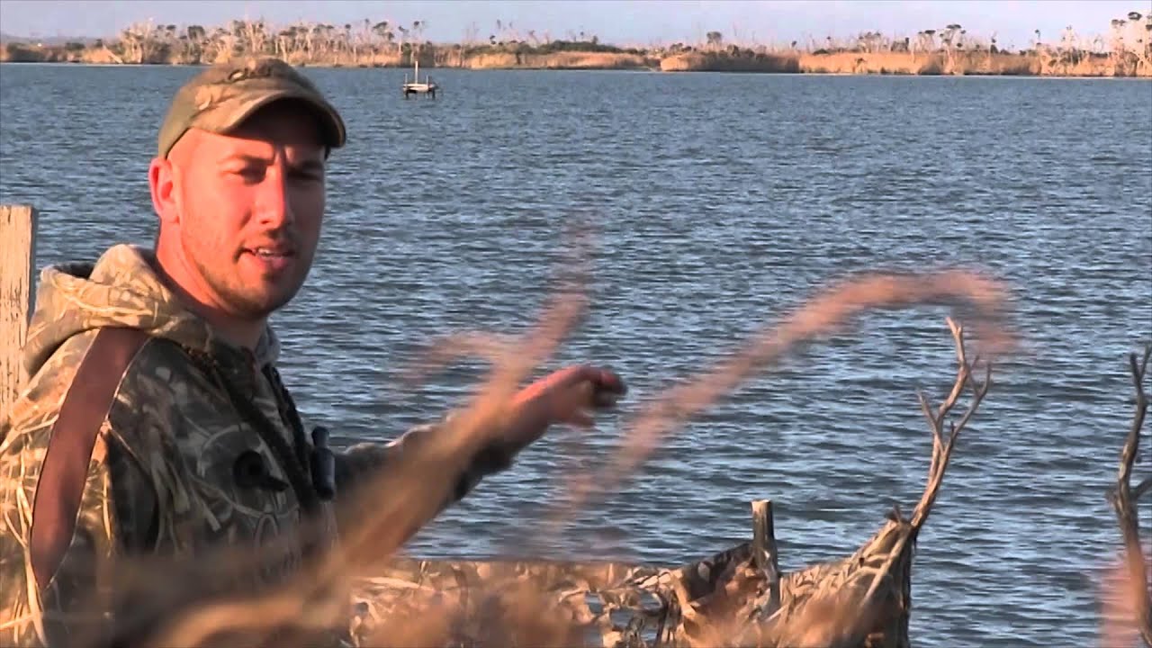 Fowl Talkers - Australian Duck Hunting - Grey & Chestnut Teal - YouTube