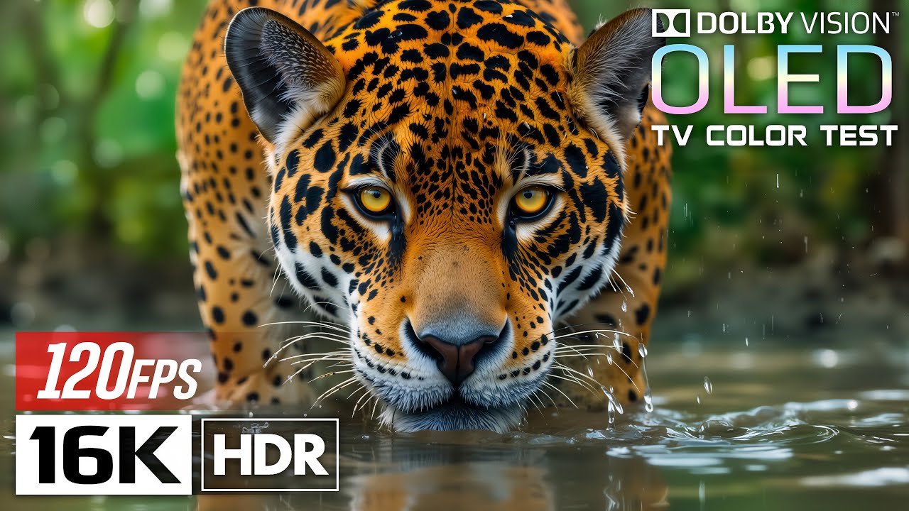 Amazing 16K HDR Dolby Vision 120fps Video (8K/4K TV Test) #1 - YouTube