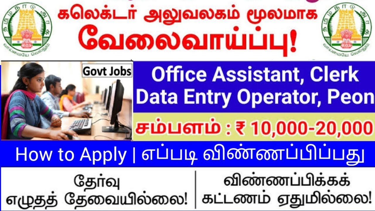 TN Govt Clerk Jobs 2024⧪ TN govt jobs 🔰 Job vacancy 2024 🎺office ...