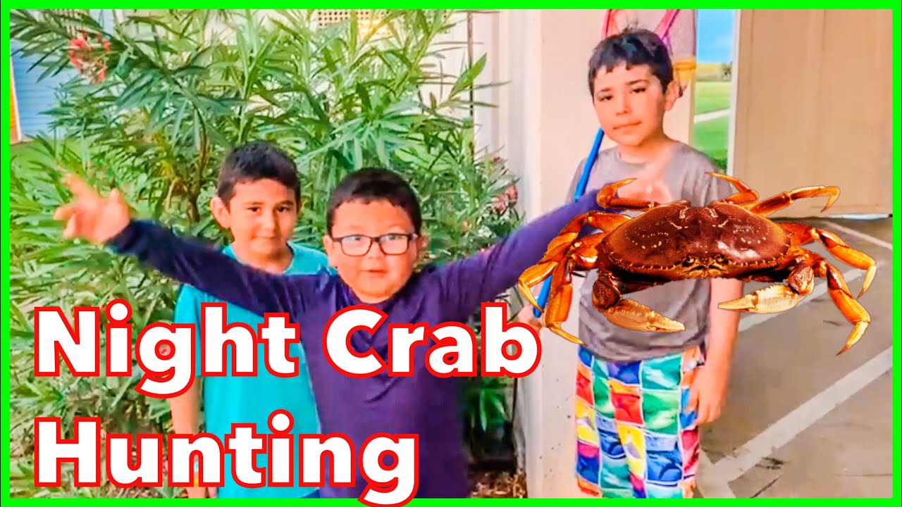 Night Crab Hunting On The Beach - YouTube