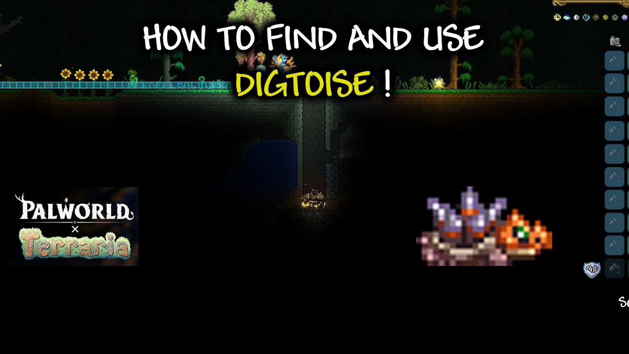 Terraria DigToise: How To FInd And Use It - YouTube