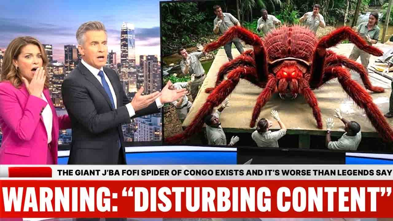 New DNA Tests On The Giant J'Ba Fofi Spider In Congo Reveal A ...