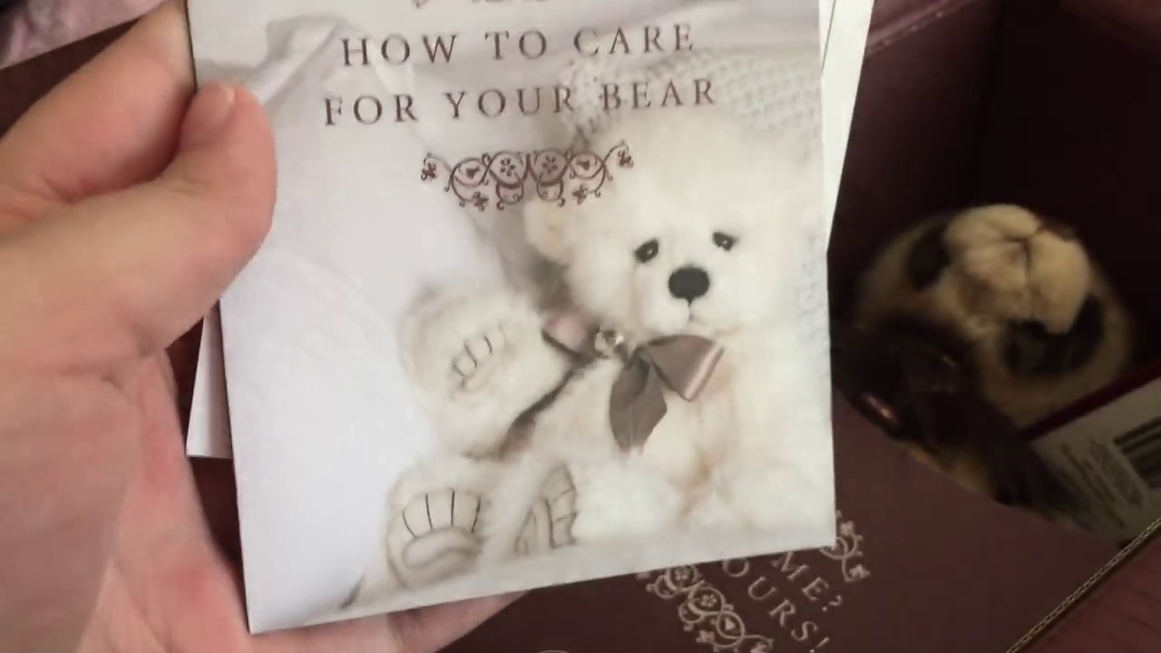 My first ever Charlie bear unboxing! - YouTube
