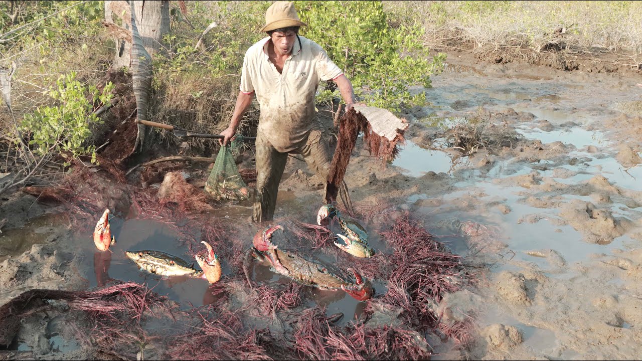 Exploring Crabs In Muddy after Water Low Tide | Catch Crabs In Sea ...