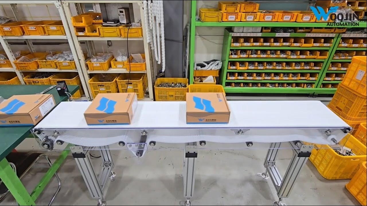 Net top chain conveyor Test 영상 - WOOJIN AUTOMATION(주식회사 우진자동화) - YouTube
