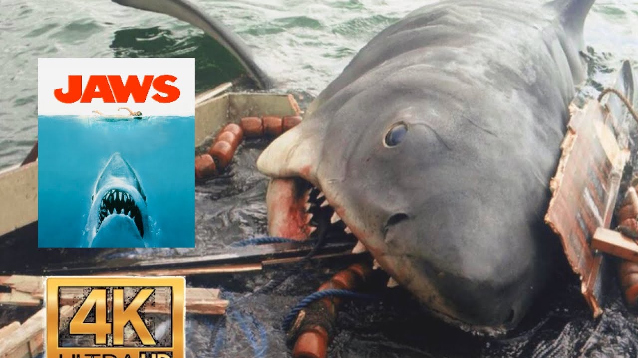 Jaws (1975) - Quint’s Death | 4K HD - YouTube