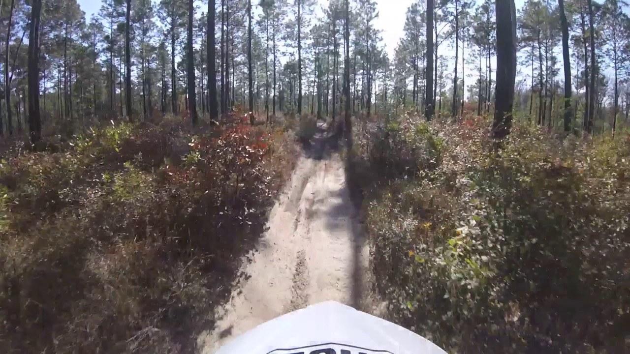 wambaw cycle trailhead south carolina - YouTube