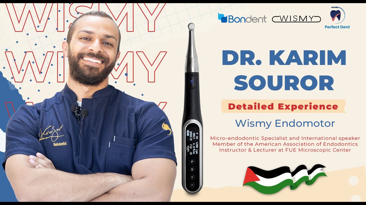 Detailed Experience over 2 years l WISMY Endomotor Rotary - Tips ...