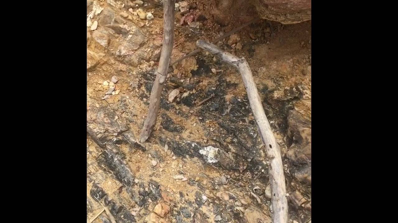 Experimenting with deadfall traps - YouTube