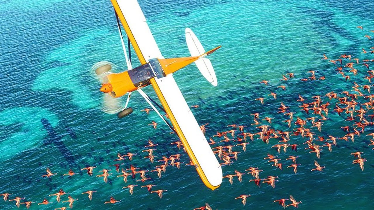 The Worst/Best Pilot In The World - Microsoft Flight Simulator 2020 ...