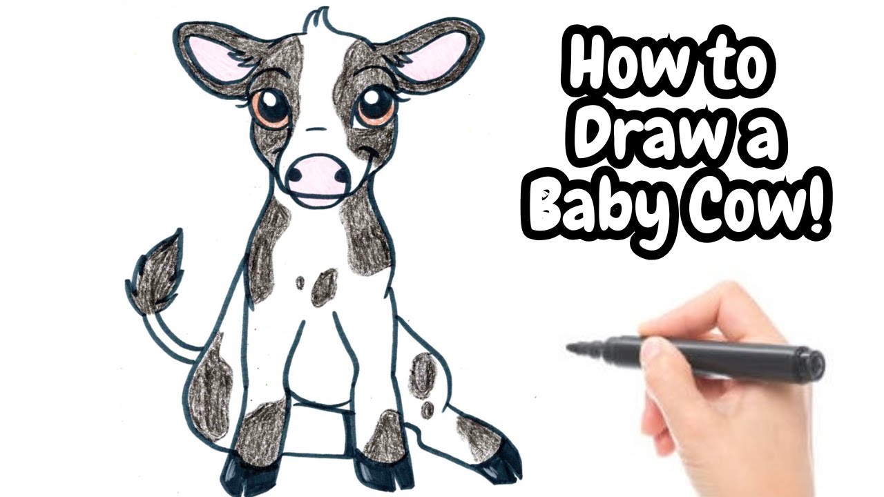 How to Draw a Baby Cow! - YouTube