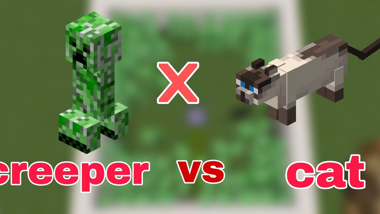Creeper vs cats | minecraft pocket edition experiment | #minecraft # ...
