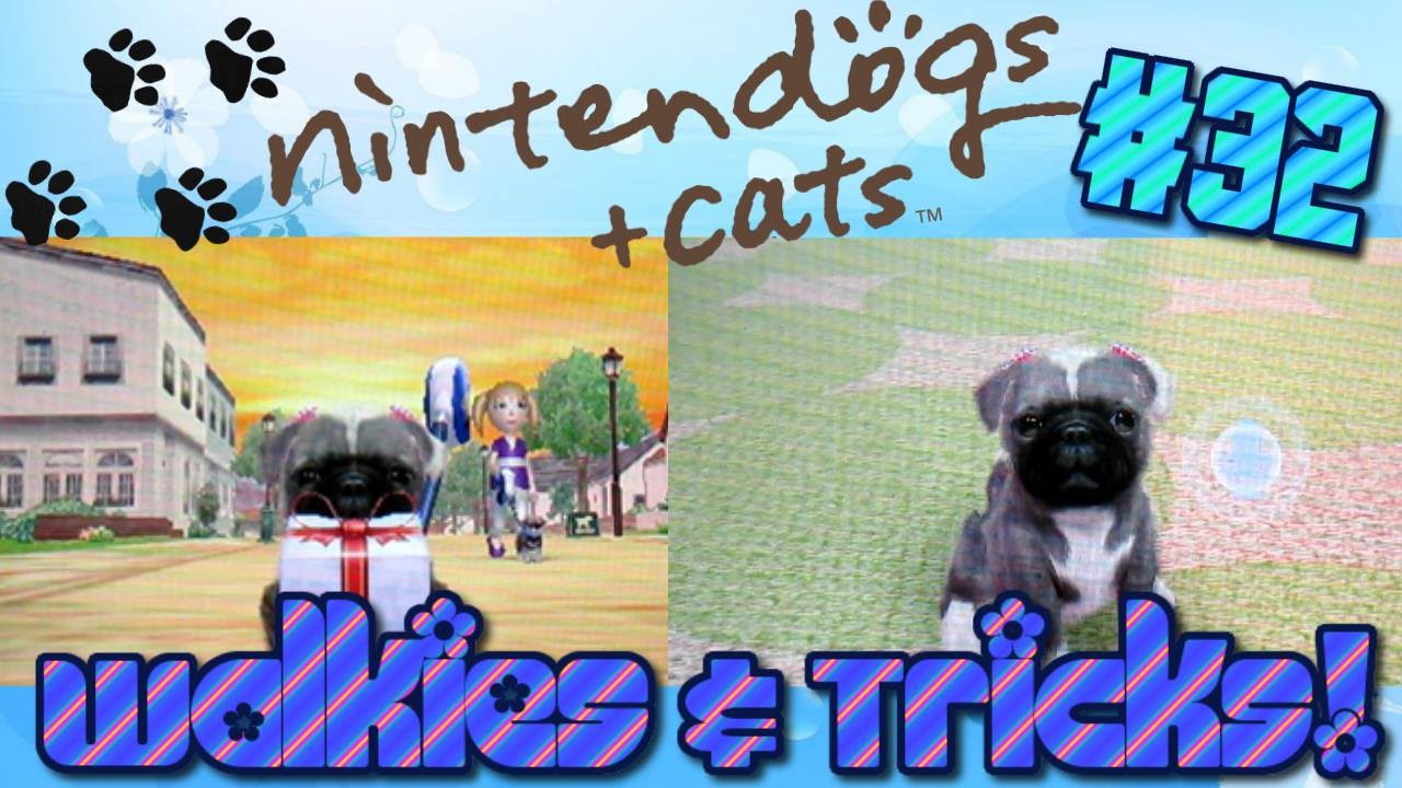 Nintendogs + cats: Pug walkies and tricks! (#32) - YouTube