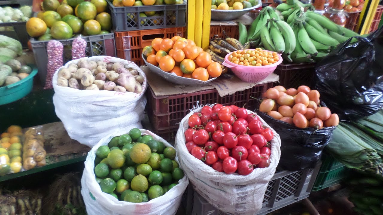 Palenque Tours Fruit Tour in Medellin - YouTube