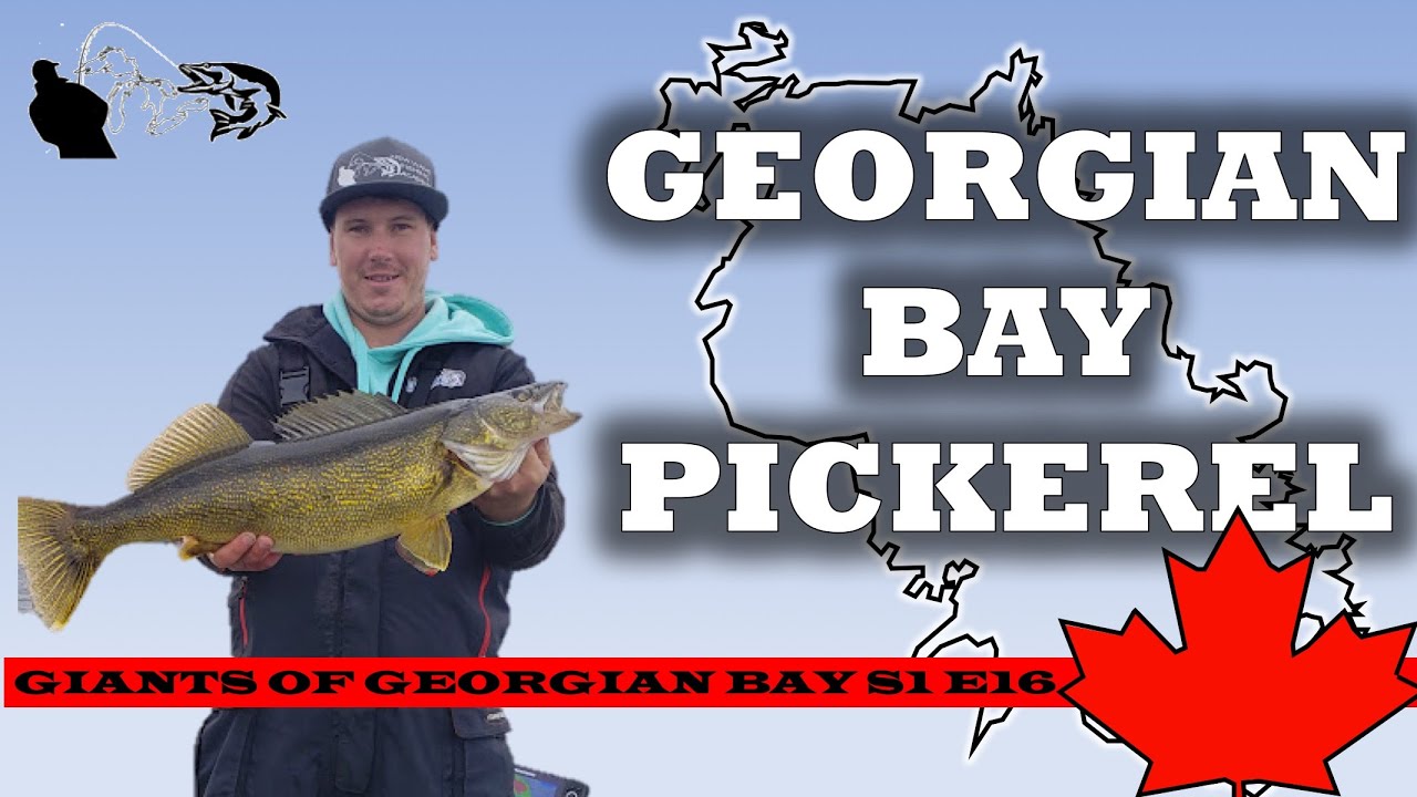 How To Fish For Monster Walleye Fishing Ontario (Pickerel) - Giants of ...