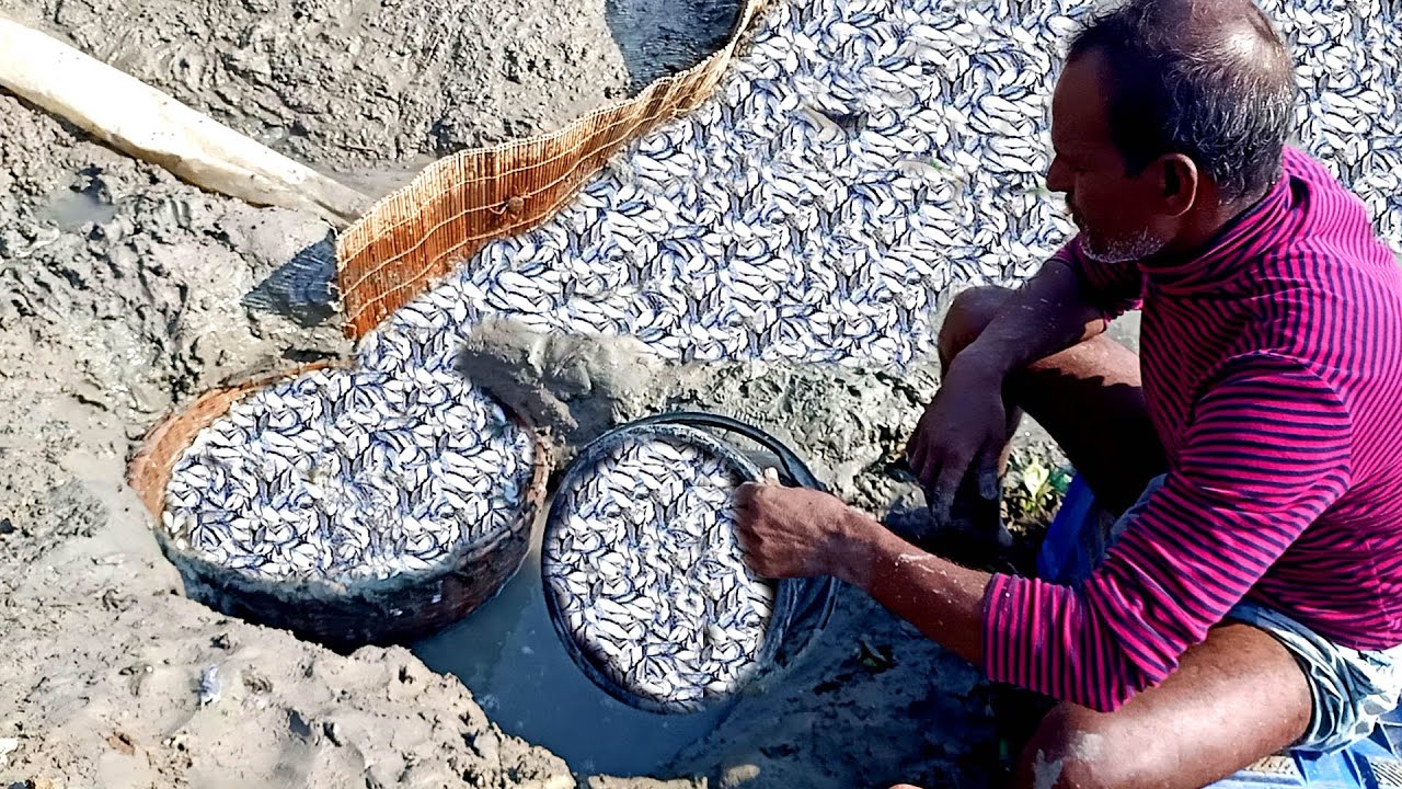মাশাআল্লাহ জীবনে এতো মাছ একবারে ধরা দেখি নাই Traditional Fishing System ...