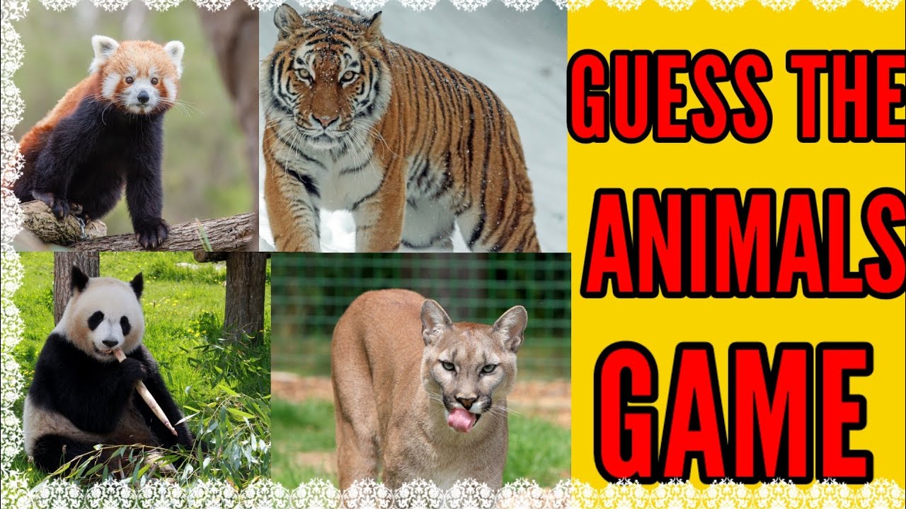 Guess The Animals In 5 seconds🐘🐣🦘🐅||Animals for kids||Game For Kids ...