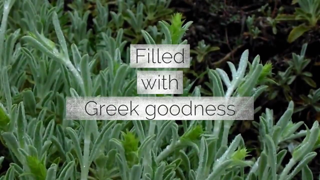 Blessed with Greek goodness! - YouTube