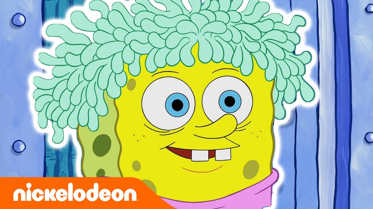 SpongeBob Kanciastoporty | Kotka | Nickelodeon Polska - YouTube