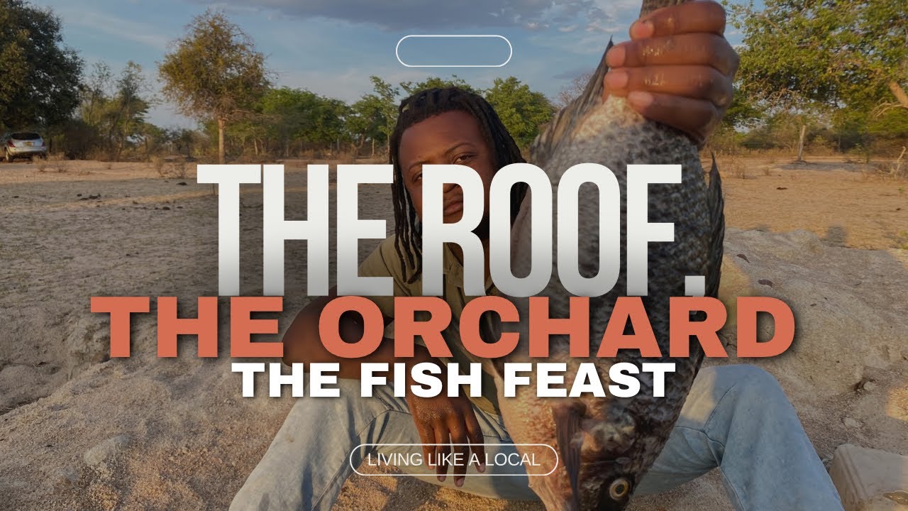 #27 The Roof, the Orchard, and the Fishy Feast | Building in Zimbabwe ...