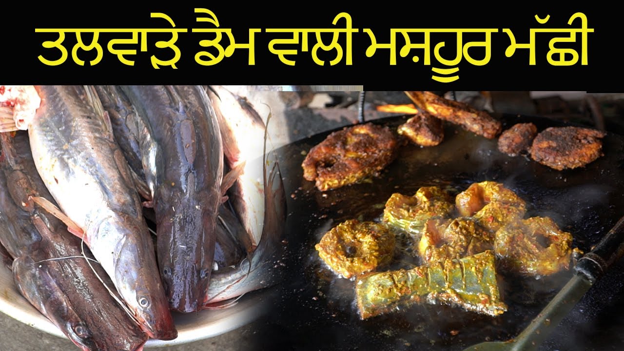 ਤਲਵਾੜੇ ਡੈਮ ਵਾਲੀ ਮਸ਼ਹੂਰ ਮੱਛੀ (ਖਡਿਆਲ) khatiyar Talwara Dam Fish VLOG ...