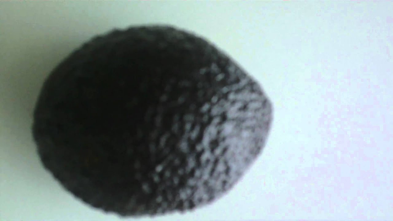 The 'dancing' Avocado - YouTube