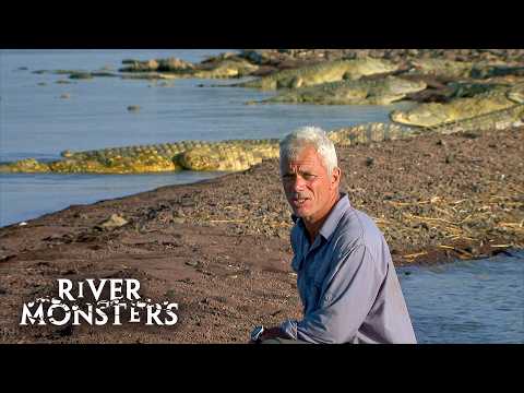 Jeremy Wade's SCARIEST Encounters with DEADLY ANIMALS | River Monsters
