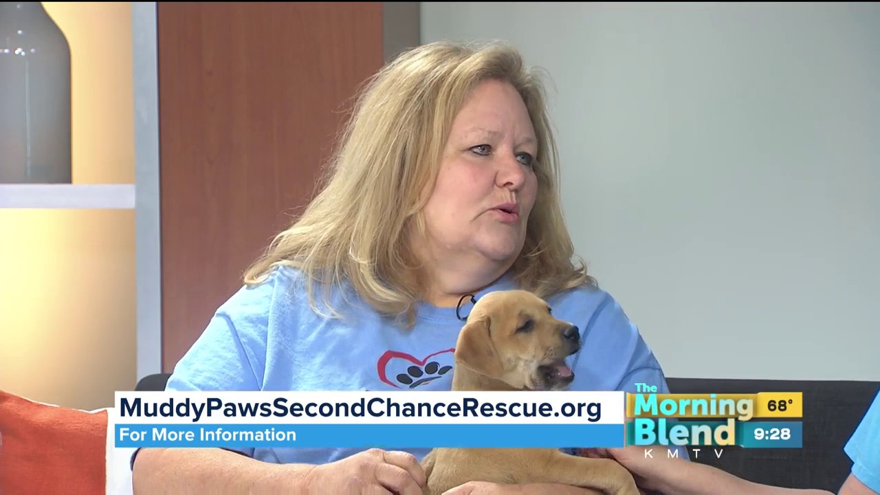 Muddy Paws Second Chance Rescue - YouTube